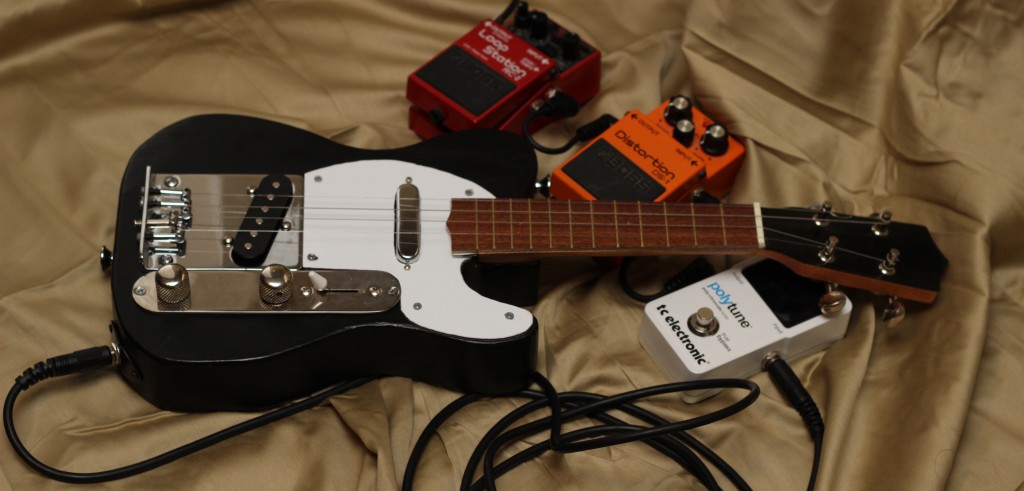 Exclusive Interview : Daniel Hulbert | Electric Ukulele Land