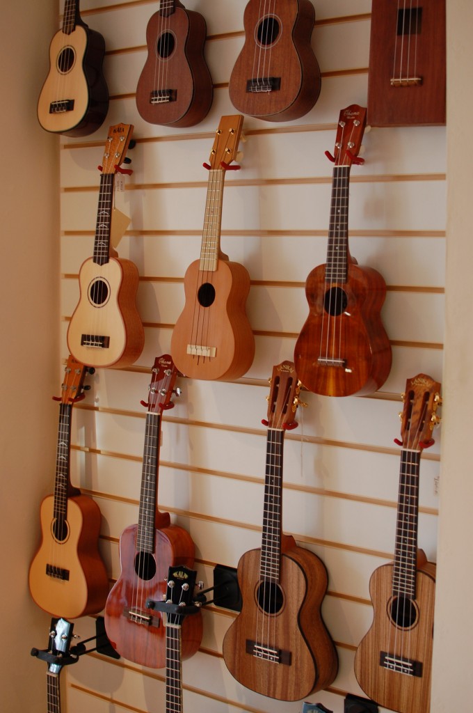 Ukulele Gear | Electric Ukulele Land